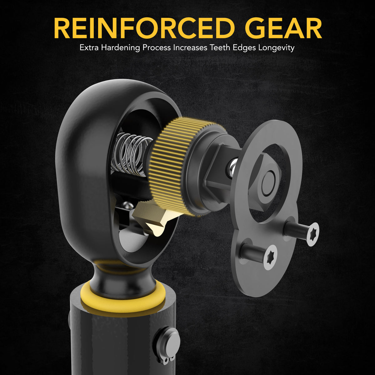 LEXIVON Bike Torque Wrench 1/4-Inch Drive, Newton Meter | 72-Tooth Gea ...